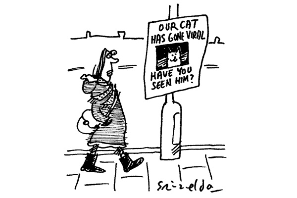 Cat 3 | The Spectator