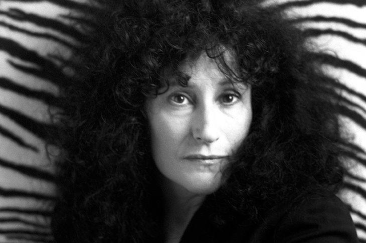 Masculinity in crisis: Men and Apparitions, by Lynne Tillman, reviewed