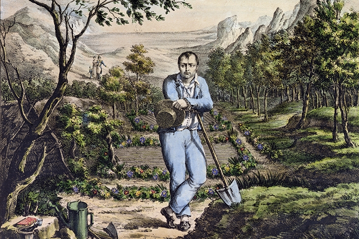 Straight lines and grandiose schemes — Napoleon the gardener