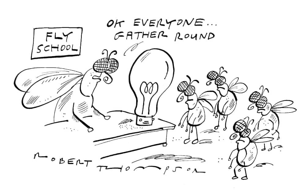 Fly school | The Spectator