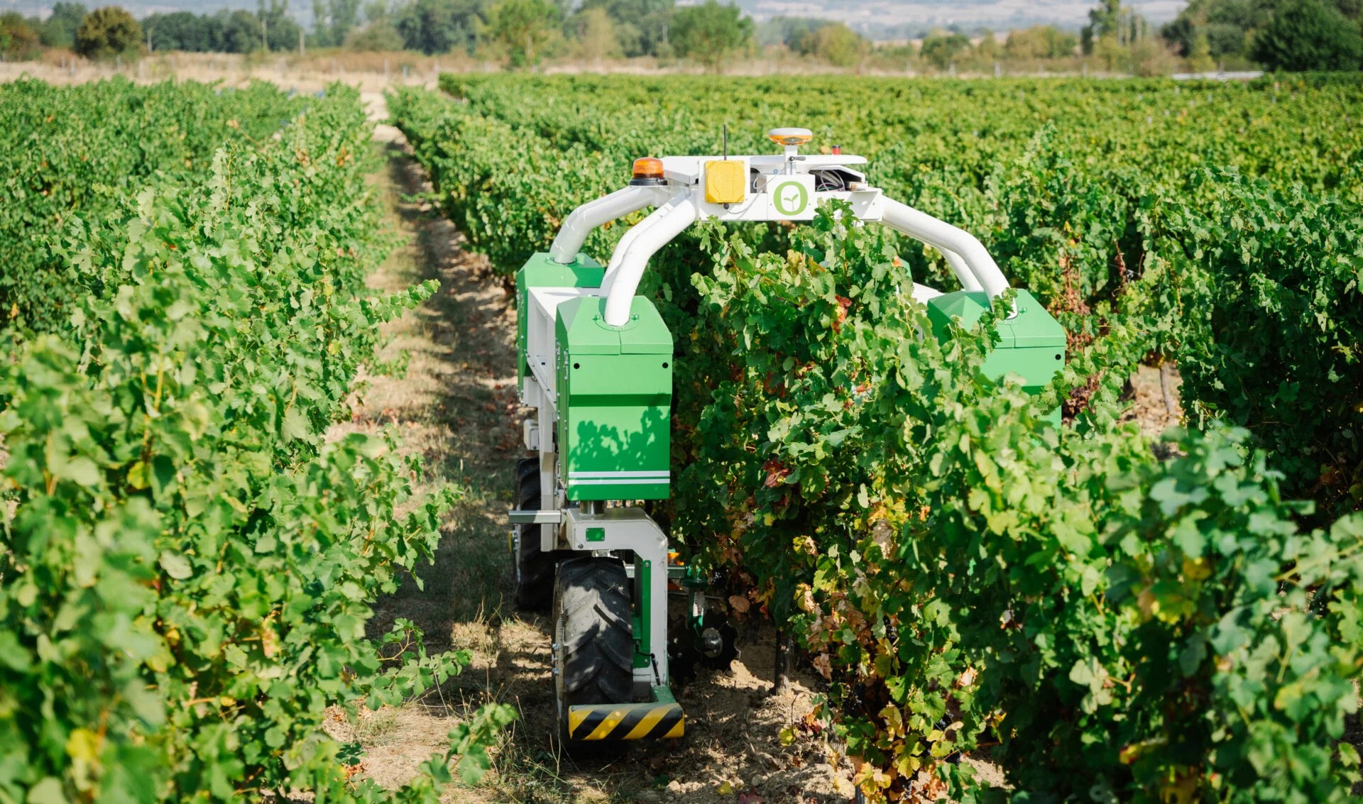 The invasion of the vineyard robots | The Spectator