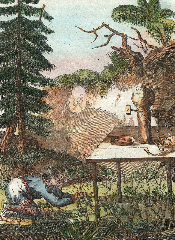 Vampires, werewolves and Sami sorcerers | The Spectator