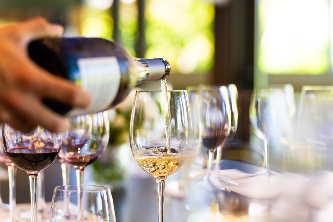 Meet my snooty AI sommelier | The Spectator